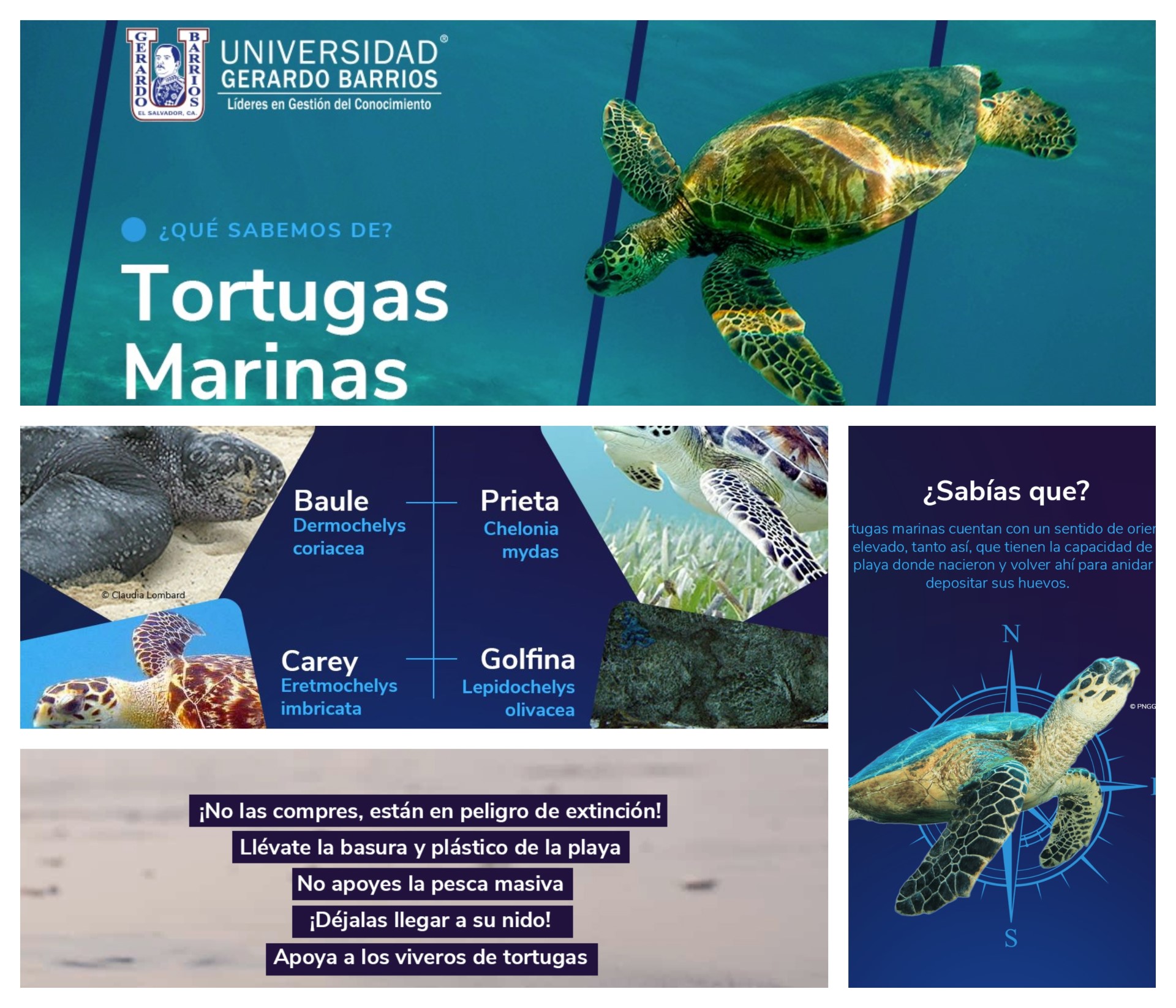 Observatorio Verde UGB